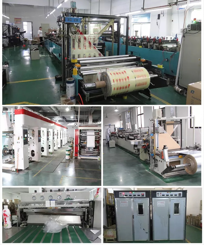 China DONGGUAN SEALAND PACKAGING BAG CO., LTD factory production line